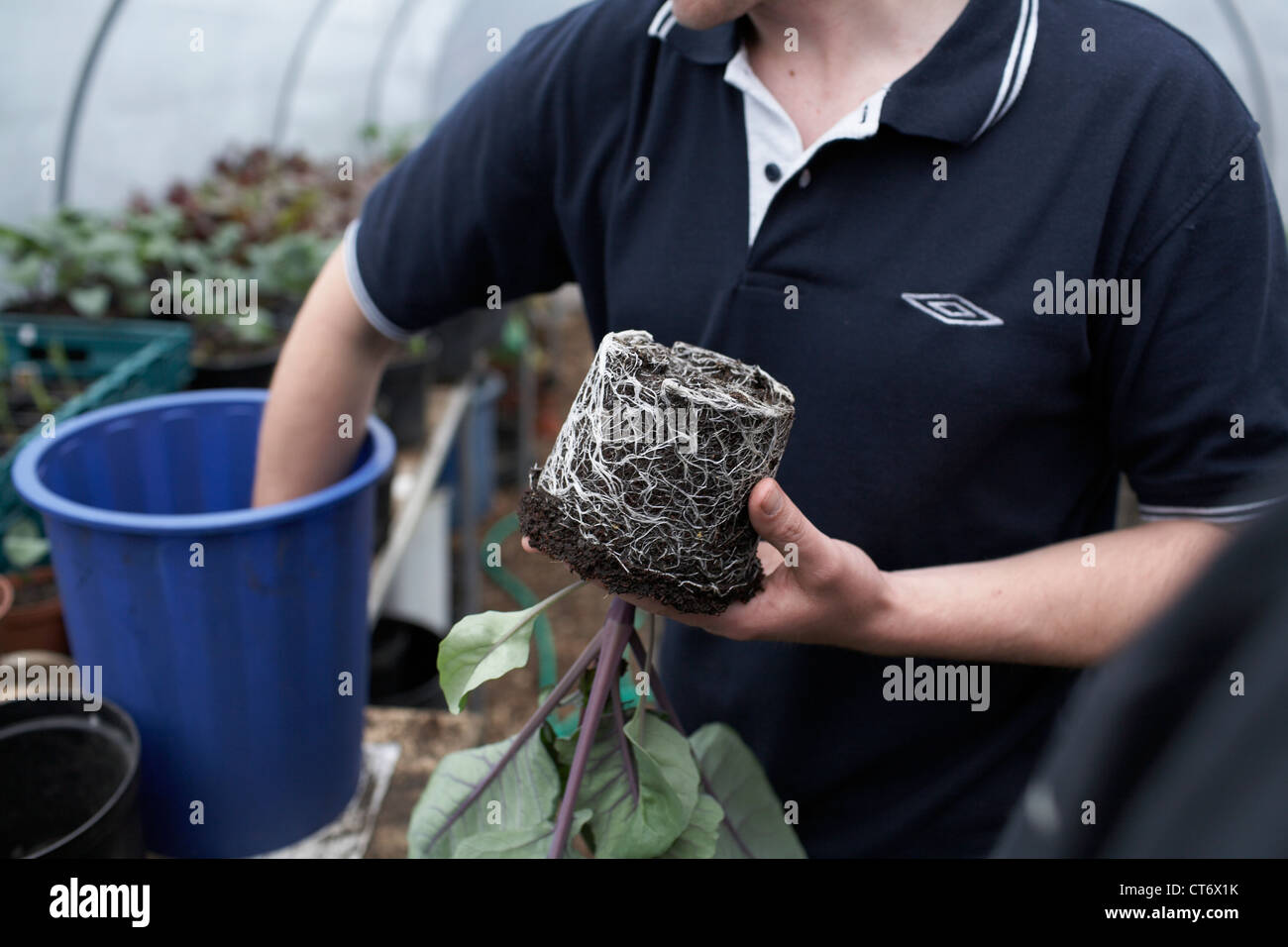 St. George's Crypt homeless charity gardening project, Leeds, UK Stock ...