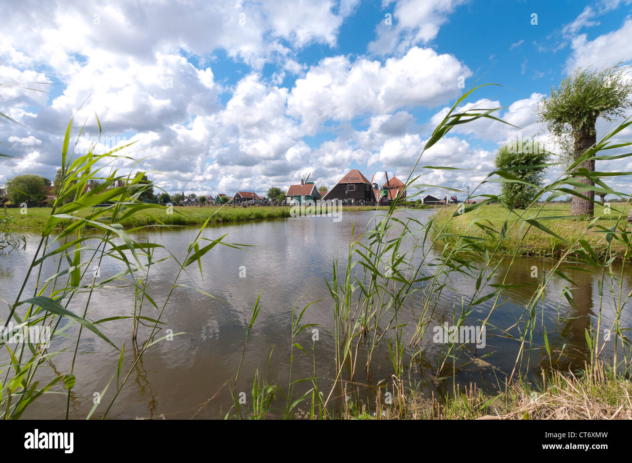typical dutch polder landscape north of amsterdam Stock Photo - Alamy
