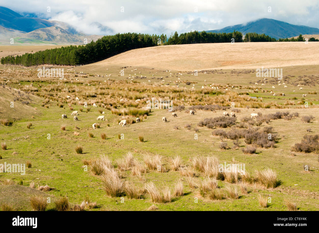 New Zealand South Island scenic landscape Stock Photo - Alamy