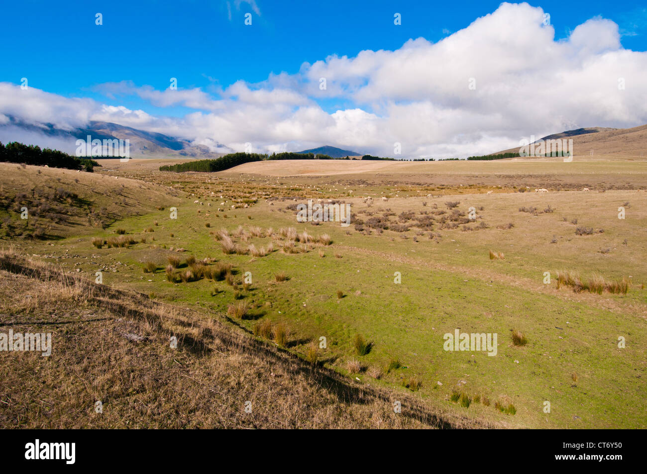 New Zealand South Island scenic landscape Stock Photo - Alamy
