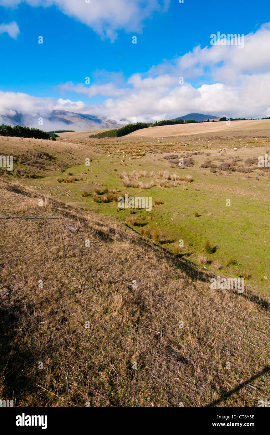 Rural south island hi-res stock photography and images - Alamy