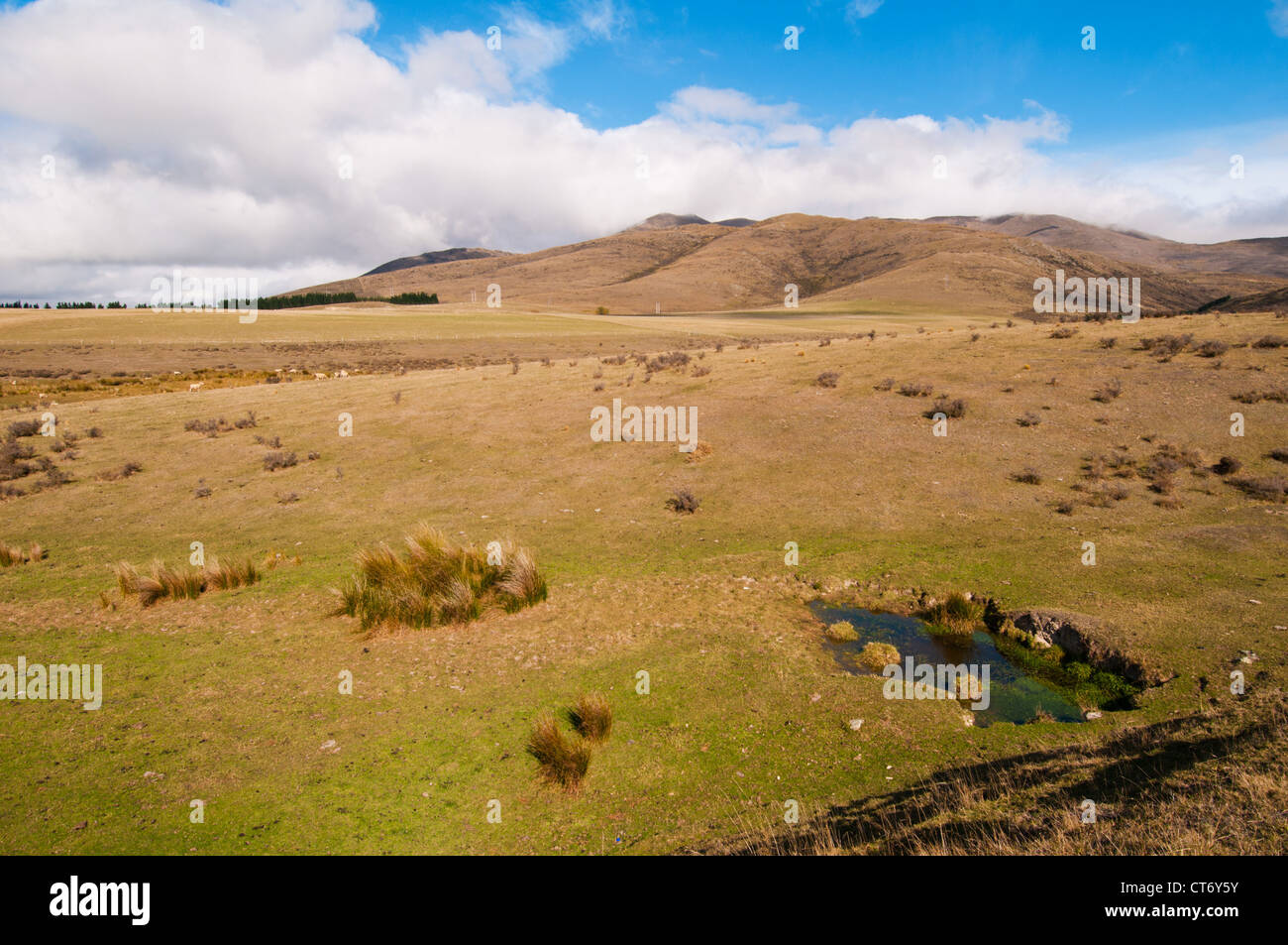 New Zealand South Island scenic landscape Stock Photo - Alamy