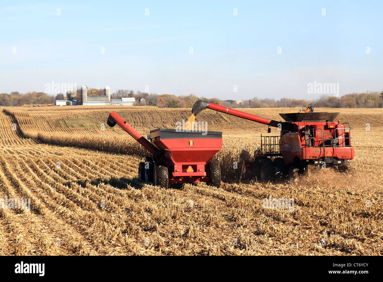 Corn Harvesting operation with farm buildings in the background, in ...