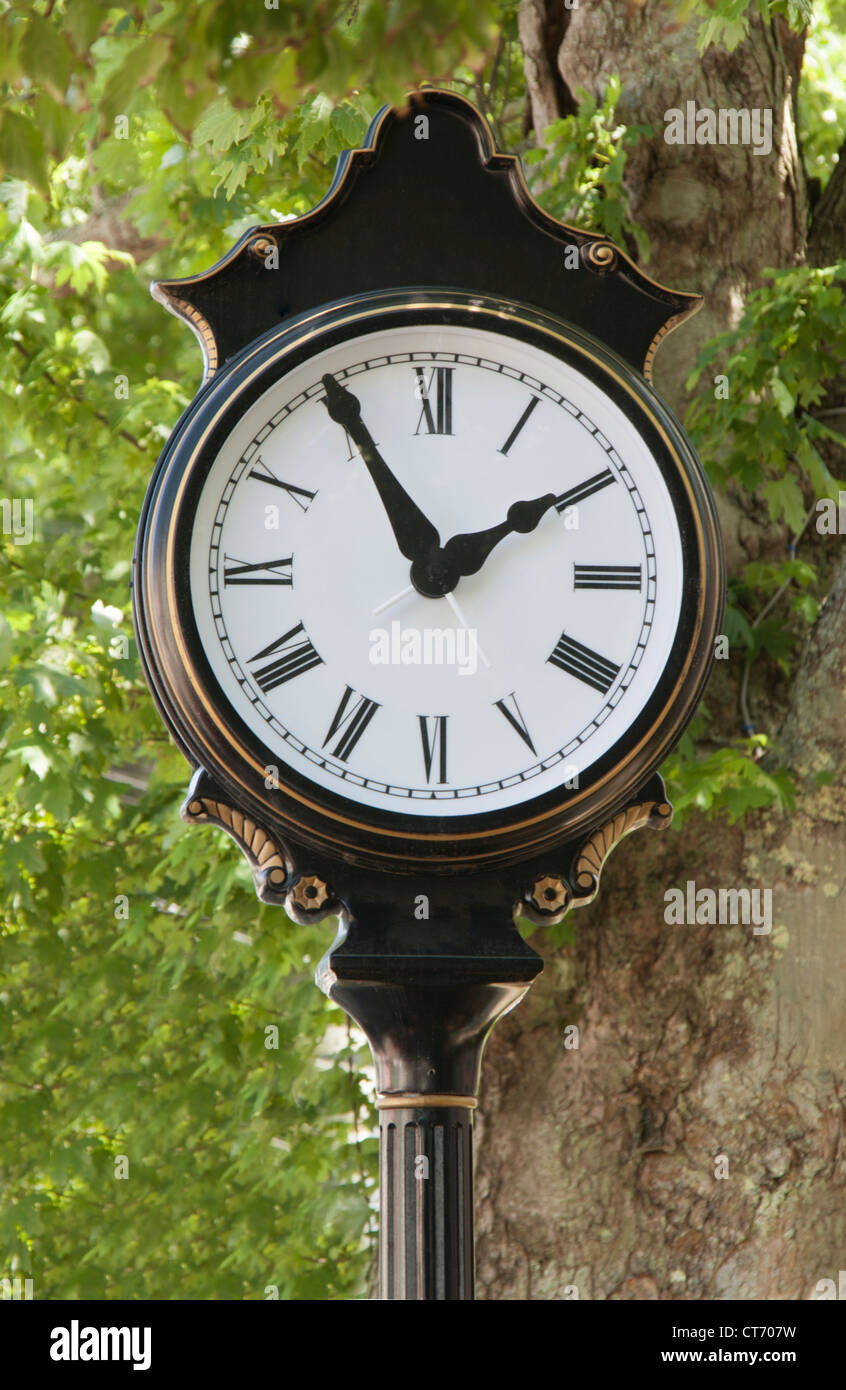 A municipal street clock in a town square photographed against a tree ...