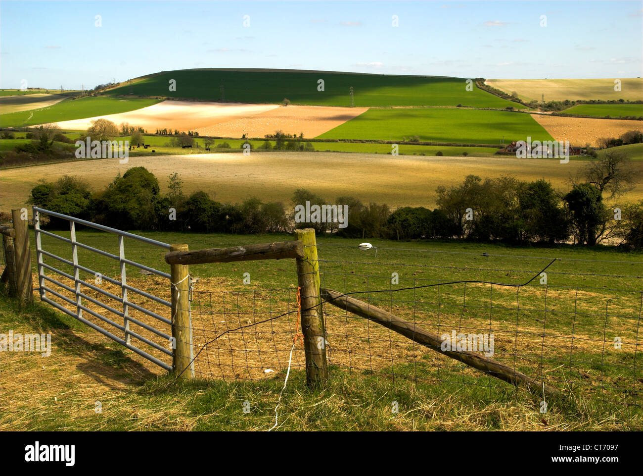A view over farmland to Steep Down in the South Downs National Park in ...