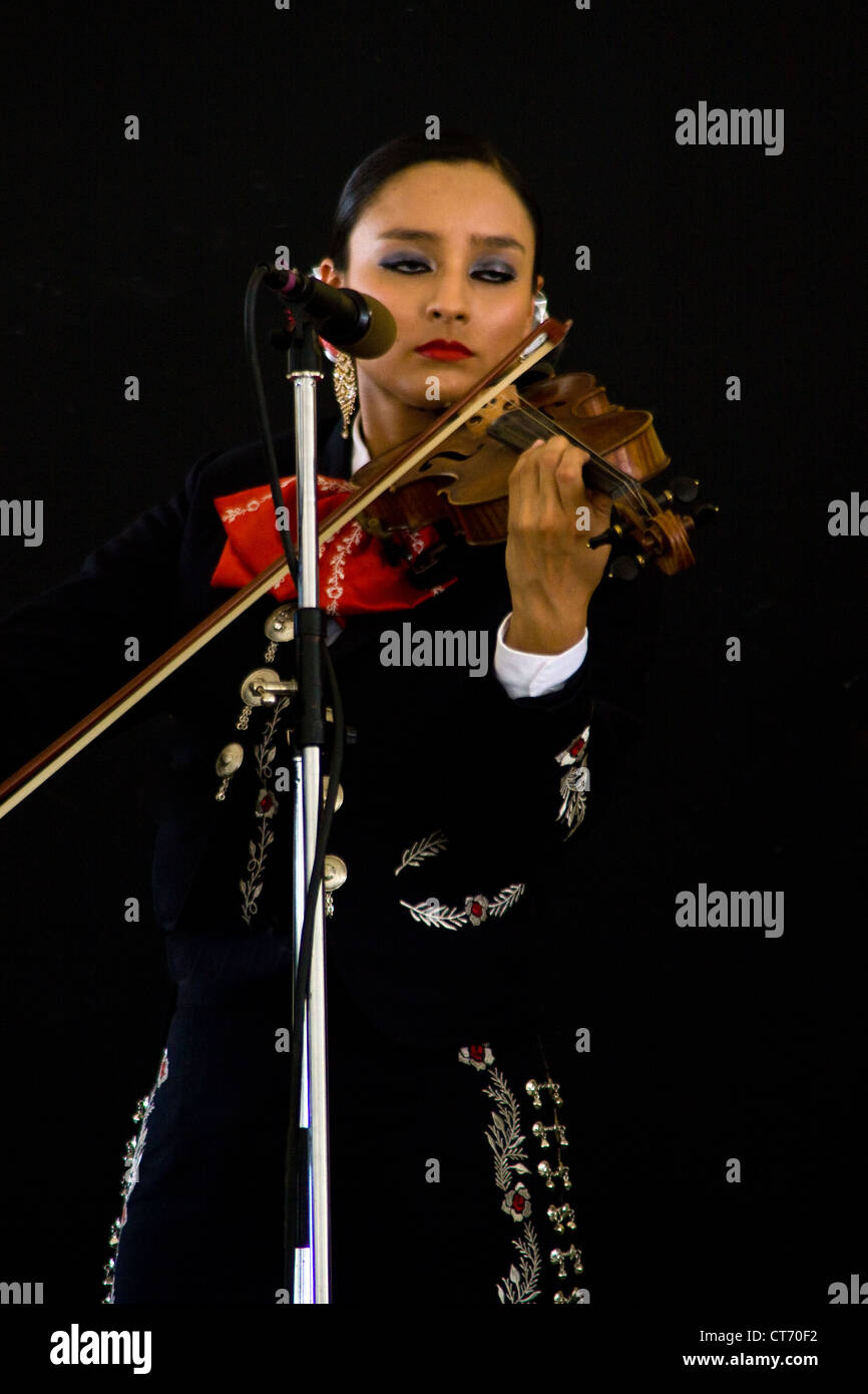 Mariachi Violin Art