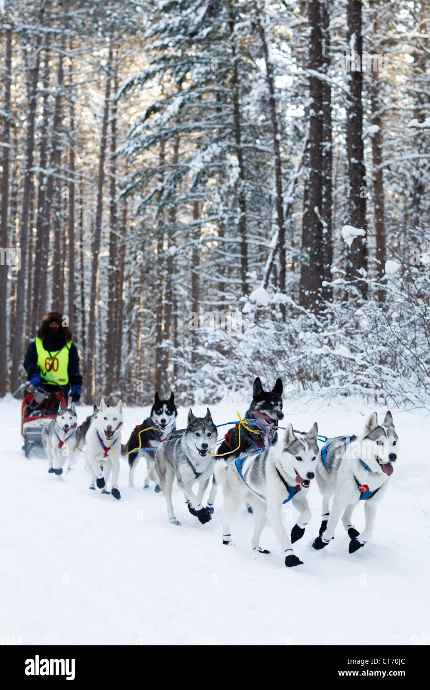 Chippewa national forest hi-res stock photography and images - Alamy