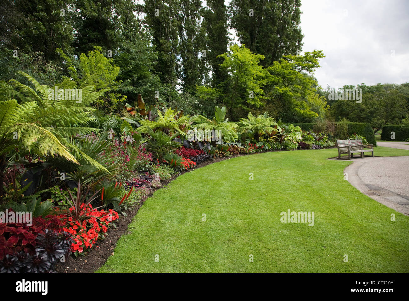 tropical plants in england Stock Photo - Alamy