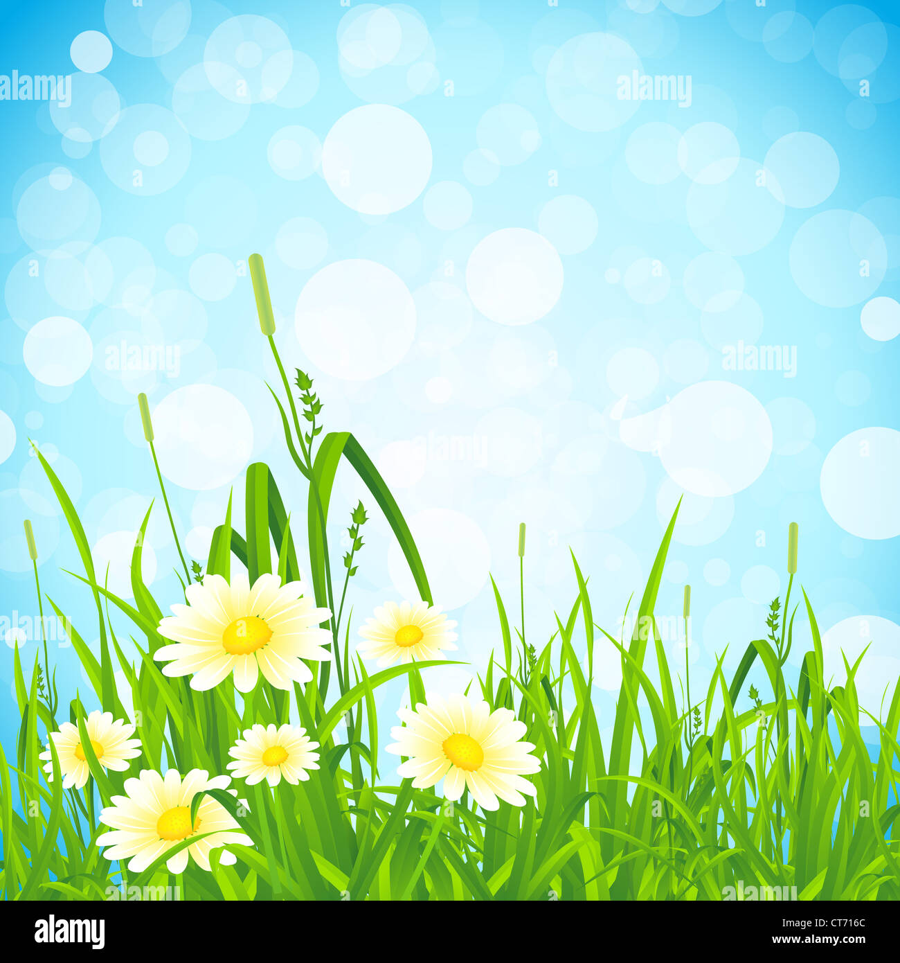 Background with Flowers and Grass Stock Photo - Alamy