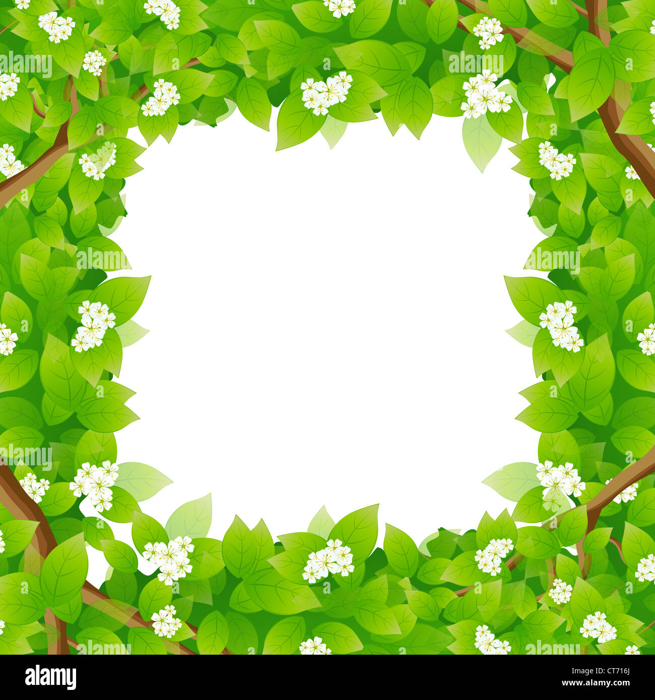 Framing branch hi-res stock photography and images - Alamy