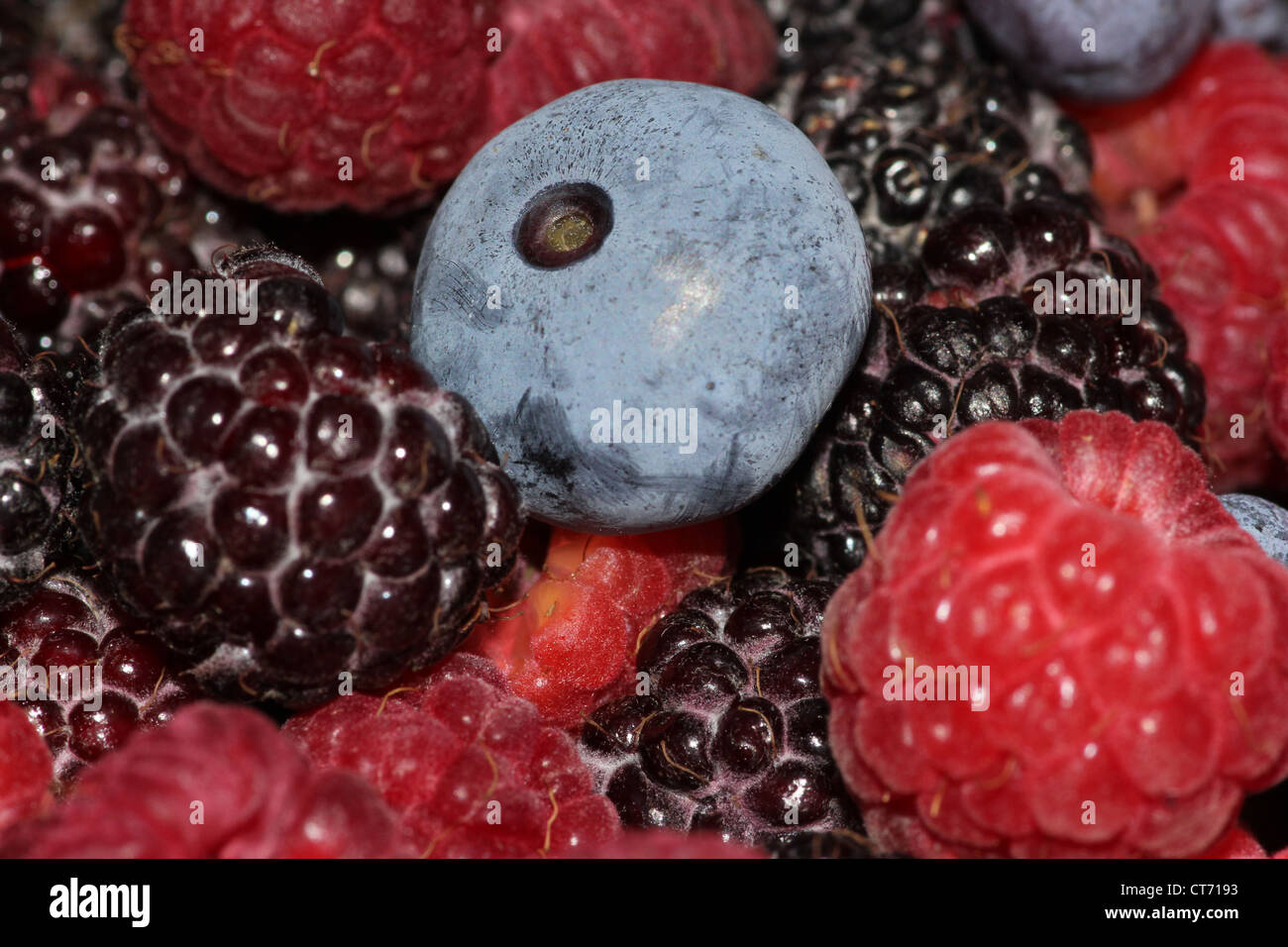 Red black raspberry blueberry in hi-res stock photography and images ...