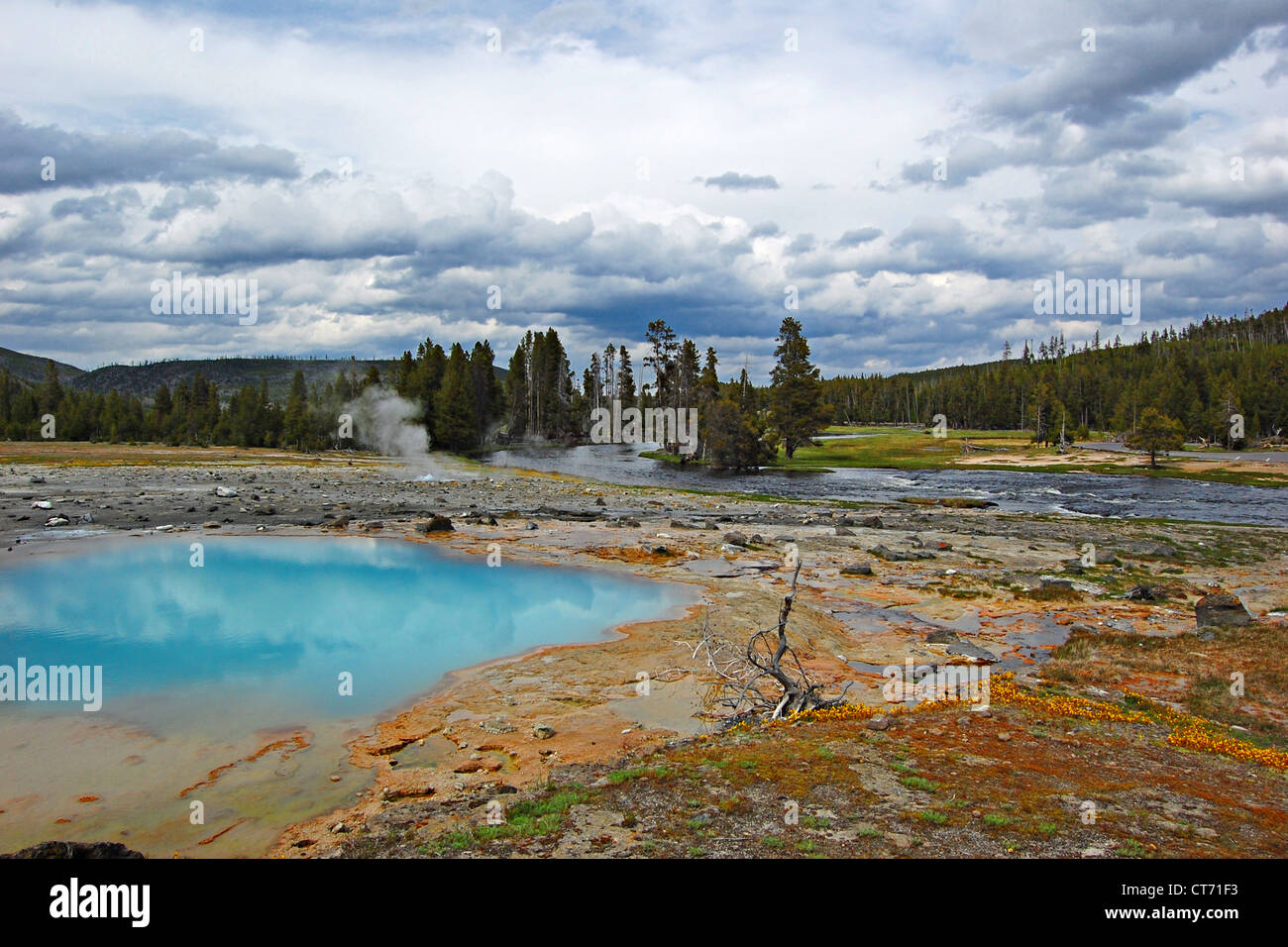 Wall Pool, Biscuit Basin, Yellowstone National Park Stock Photo - Alamy