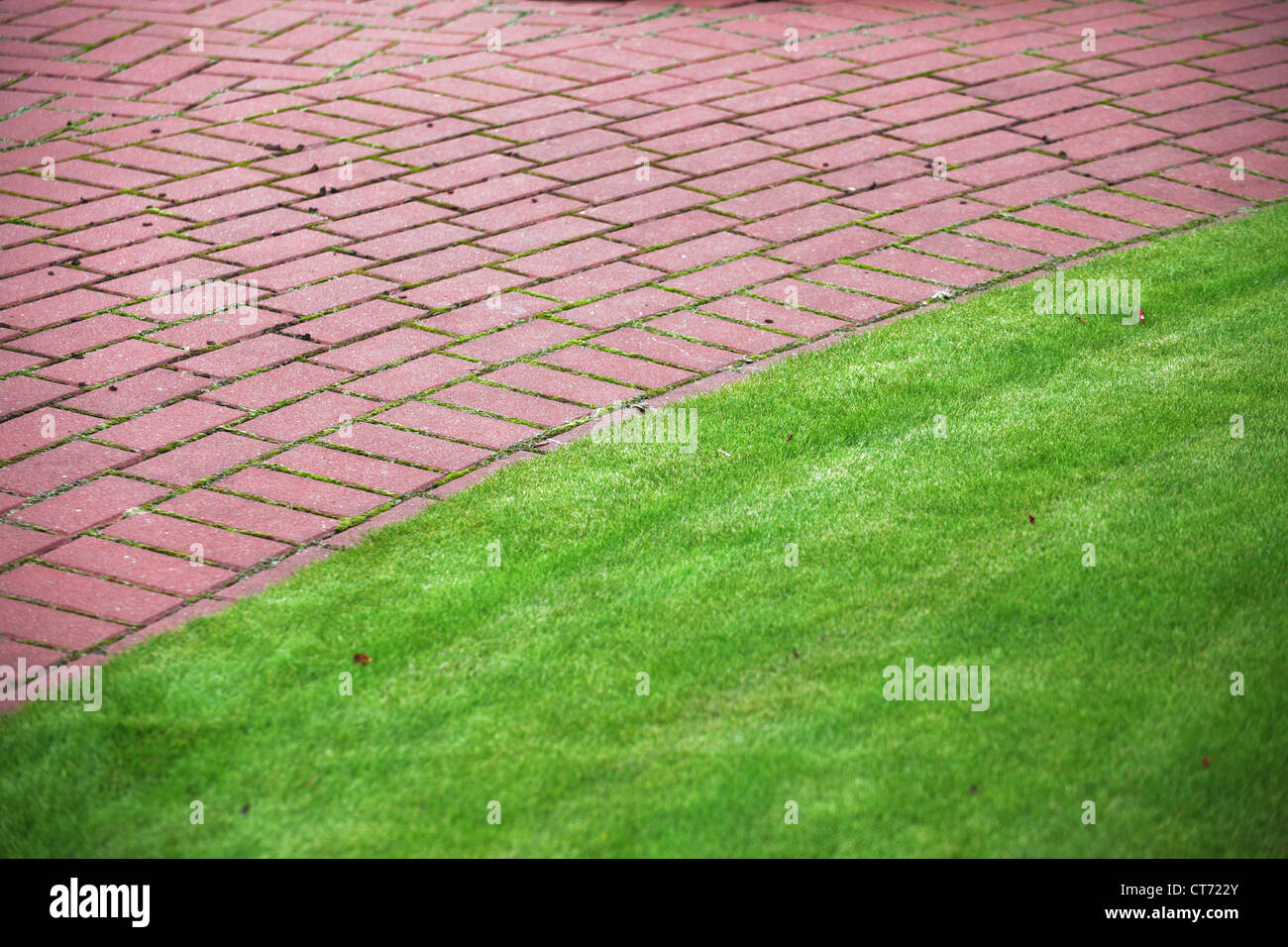 Garden stone path with grass growing up between and around stones ...