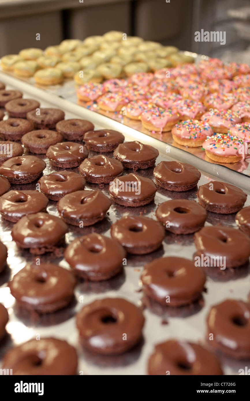 Various donut types arrayed on tables, waiting for the glaze to dry at ...