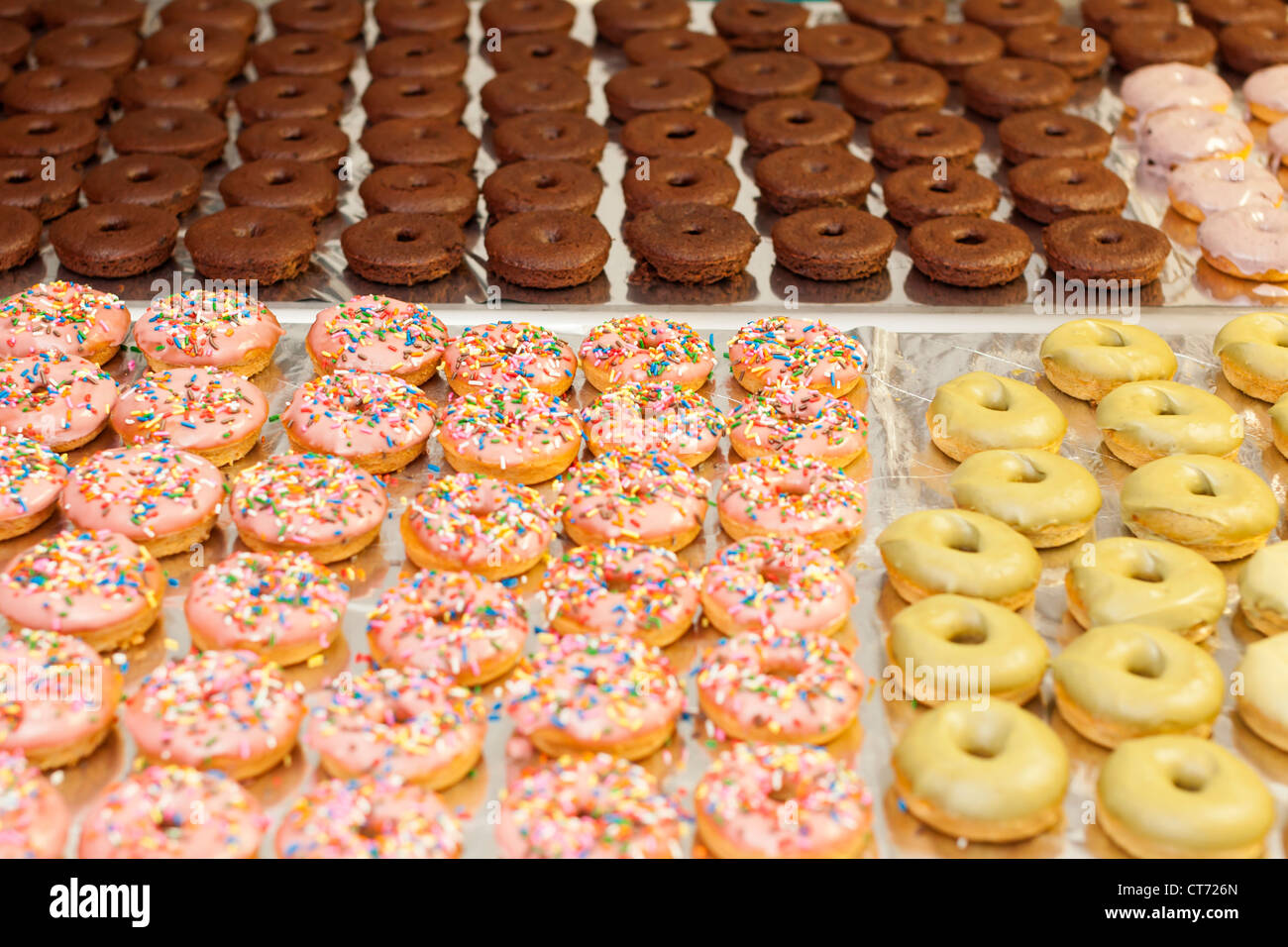 Various donut types arrayed on tables, waiting for the glaze to dry at ...