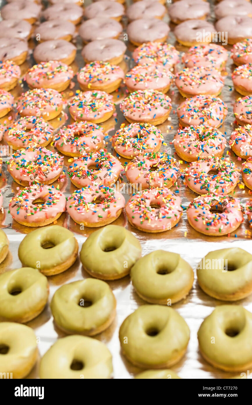 Various donut types arrayed on tables, waiting for the glaze to dry at ...