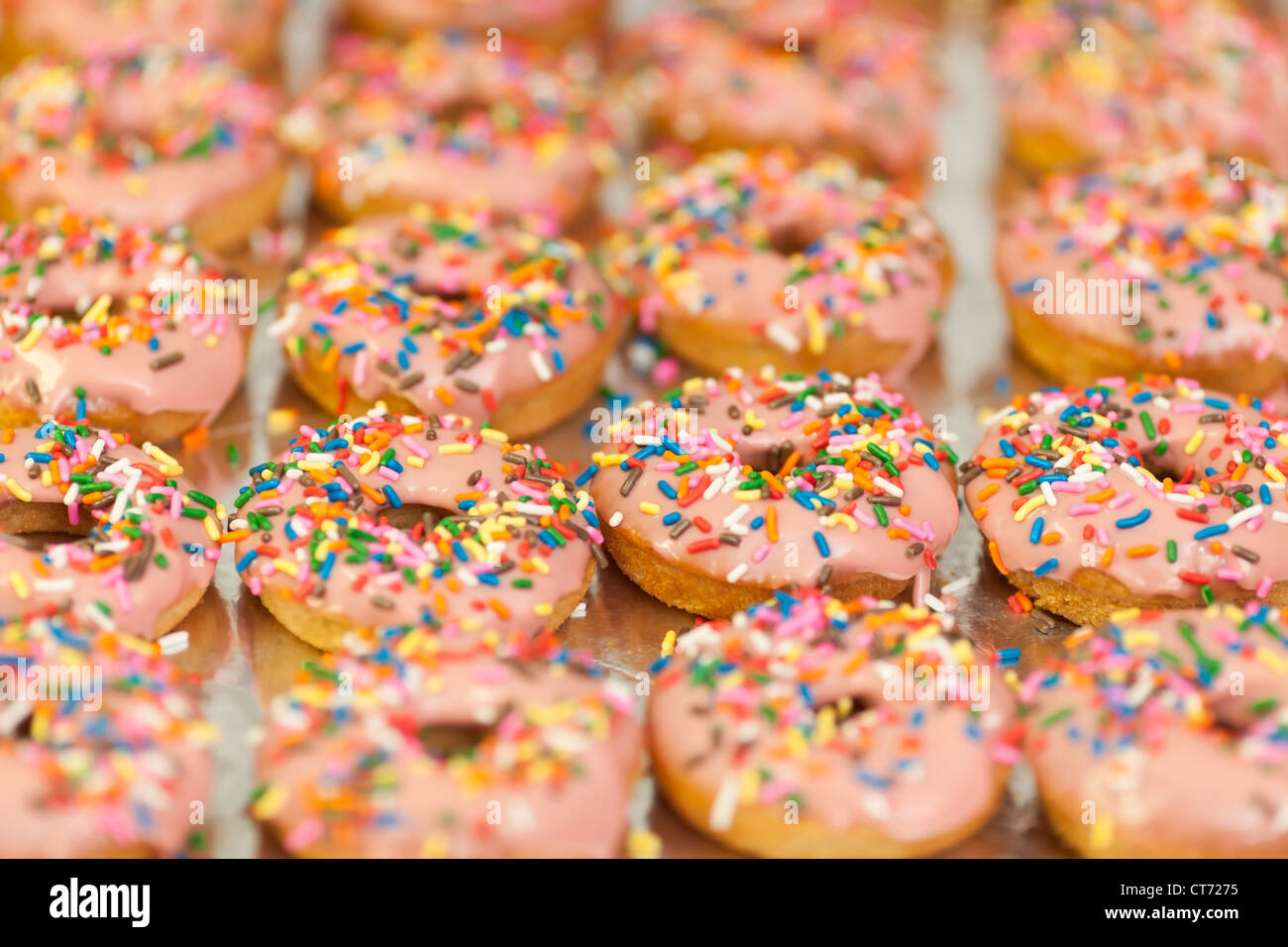 Pink glazed doughnuts with colorful sprinkles at Tandmen Doughnuts, a ...