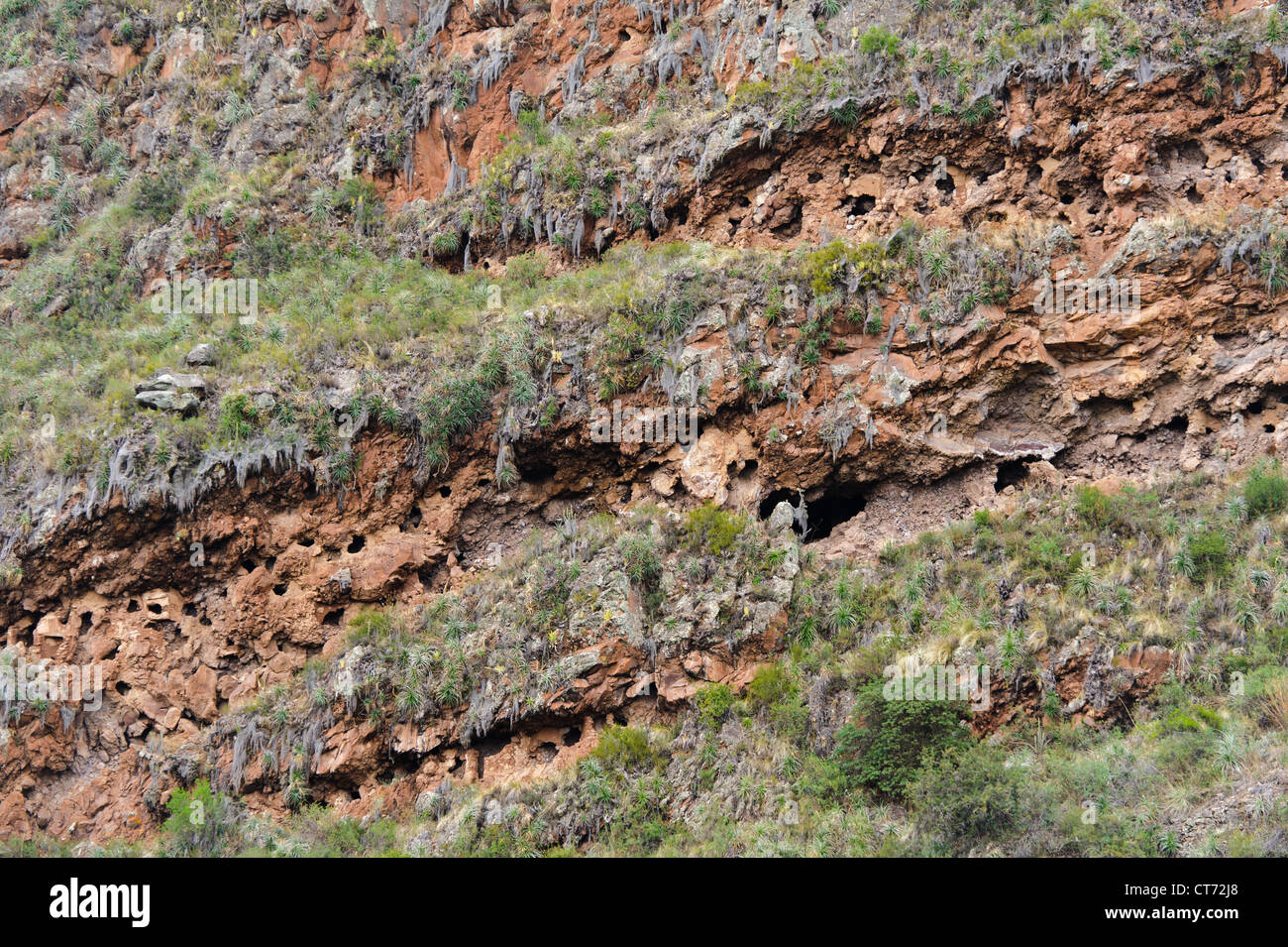 Inca burial chambers built into a cliff face, Pisac, Urubamba, Peru ...