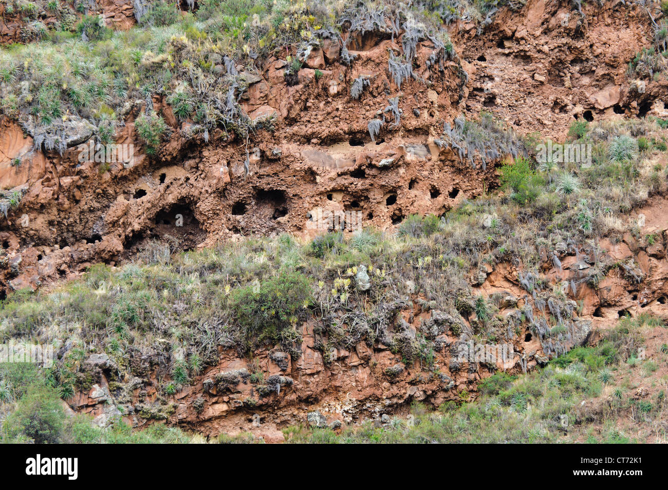 Inca burial chambers built into a cliff face, Pisac, Urubamba, Peru ...