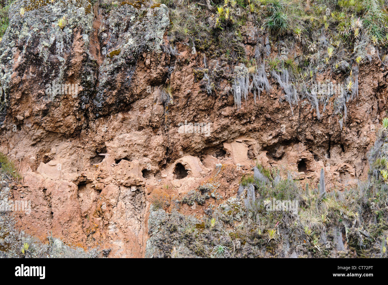 Inca burial chambers built into a cliff face, Pisac, Urubamba, Peru ...