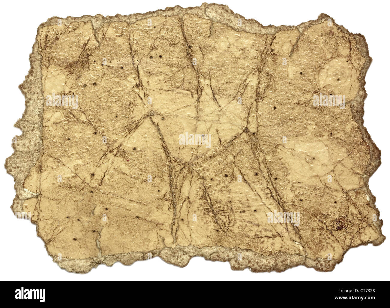 Stained old paper with rough edges Stock Photo - Alamy
