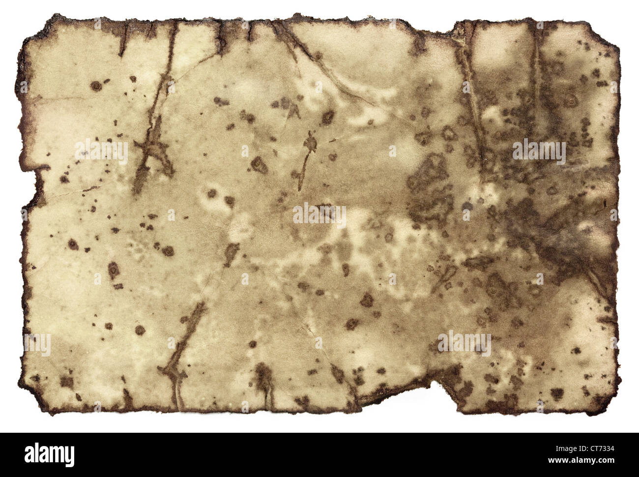 Stained old paper with rough edges Stock Photo - Alamy