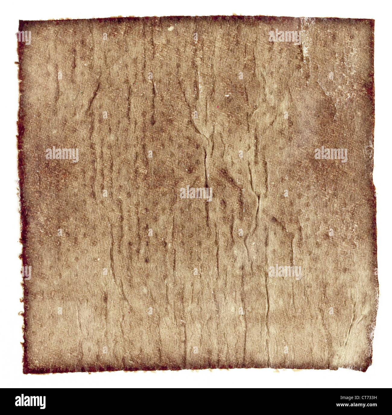 Stained old paper with rough edges Stock Photo - Alamy