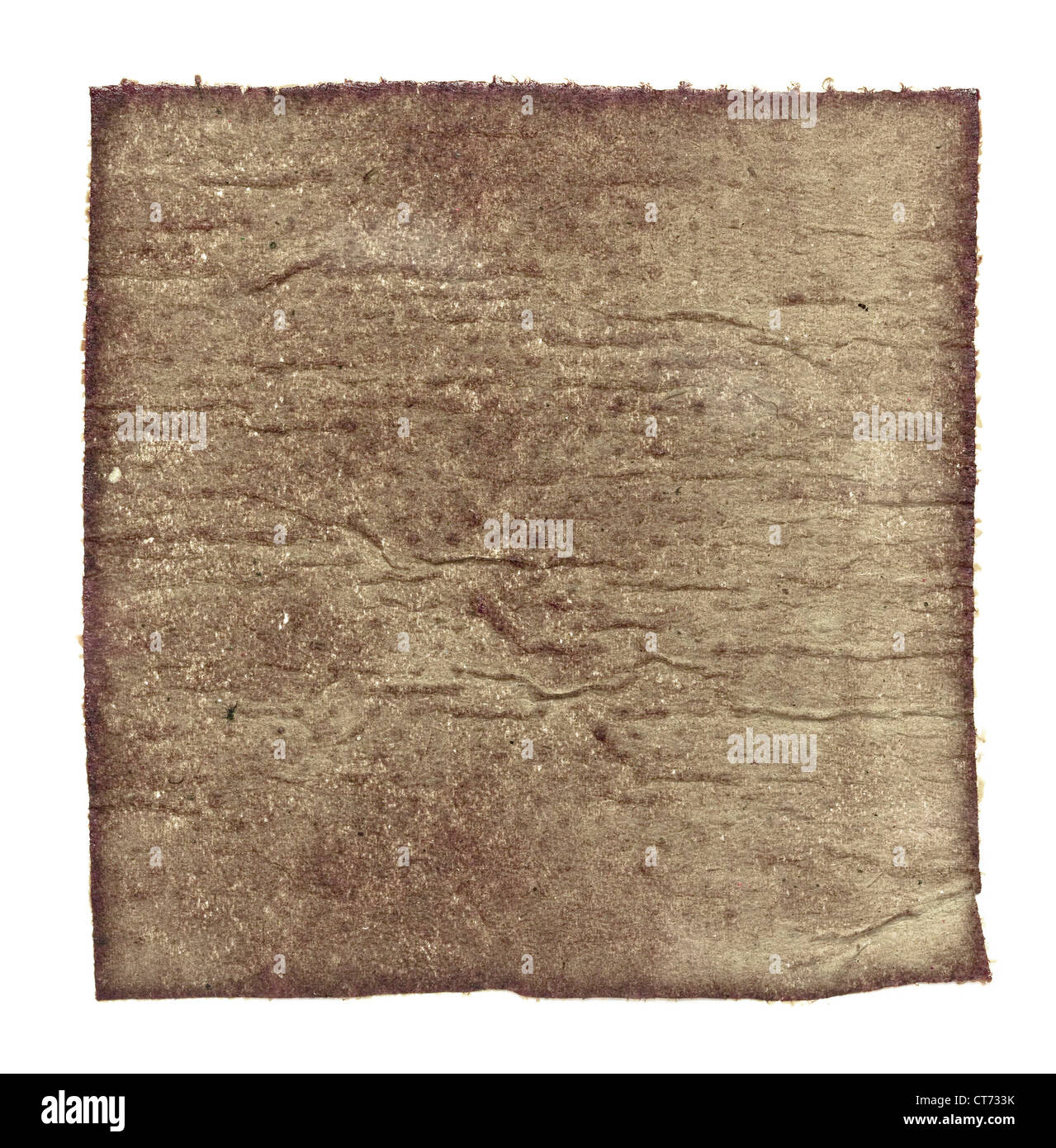 Rough Edged Paper Texture