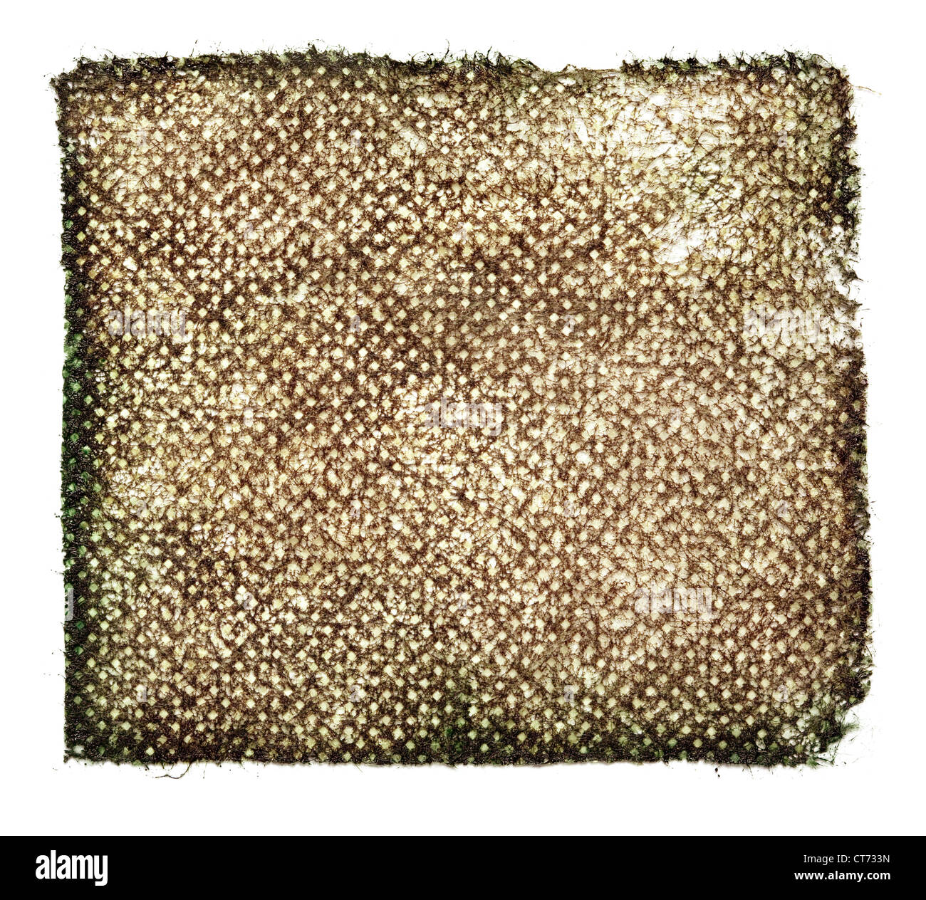 Stained old paper with rough edges Stock Photo - Alamy