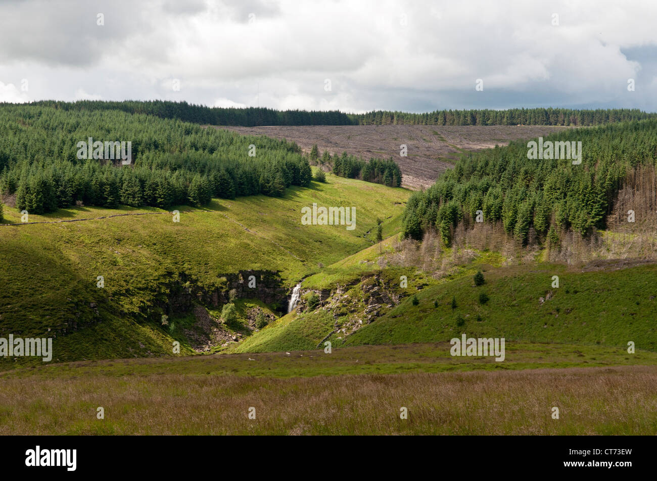The hills above the Rhondda Valley in south Wales showing forestry and ...