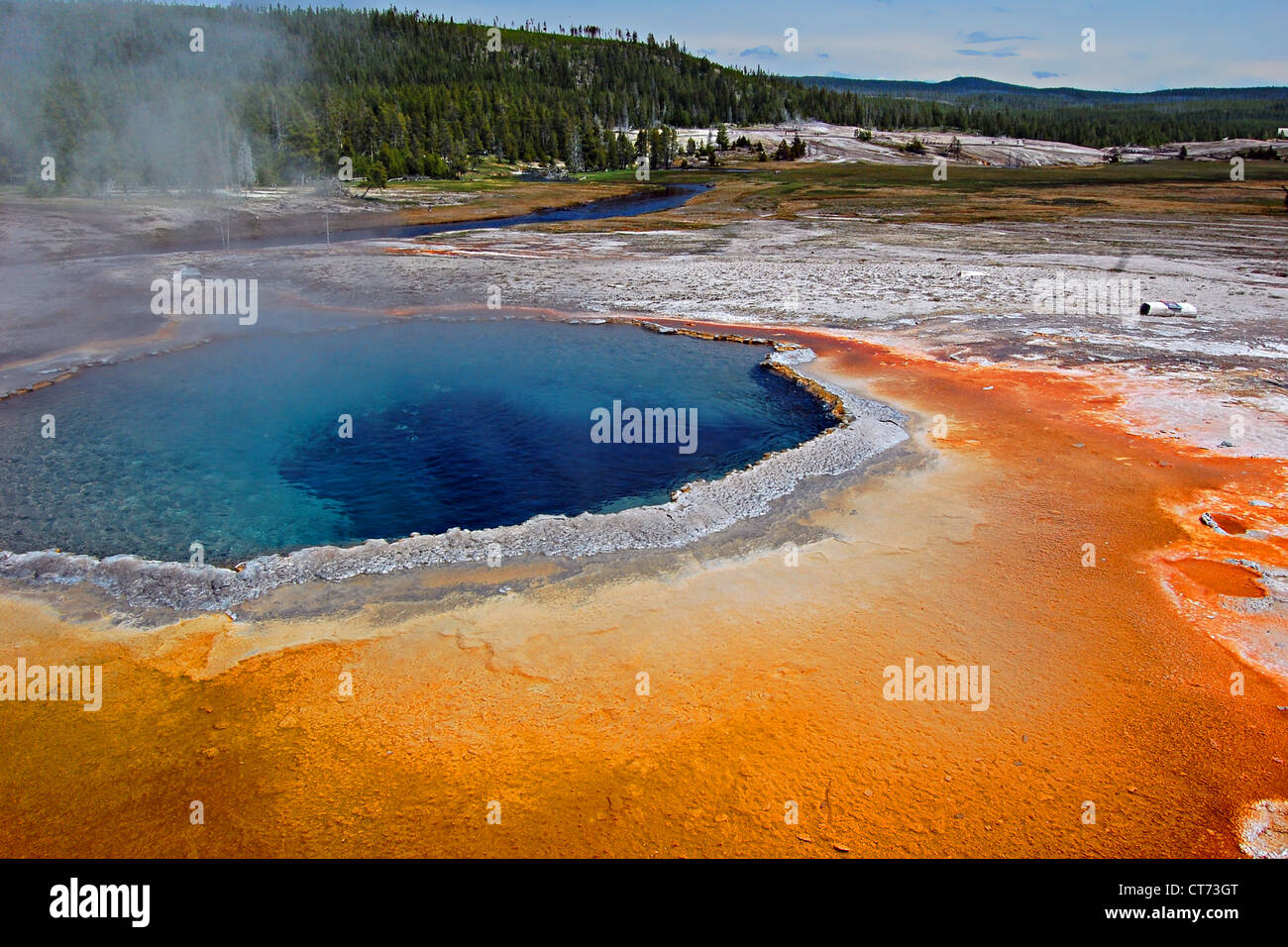 Crested Pool High Resolution Stock Photography and Images - Alamy