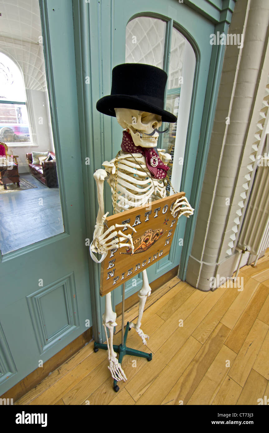 Human Skeleton in a top hat Stock Photo - Alamy
