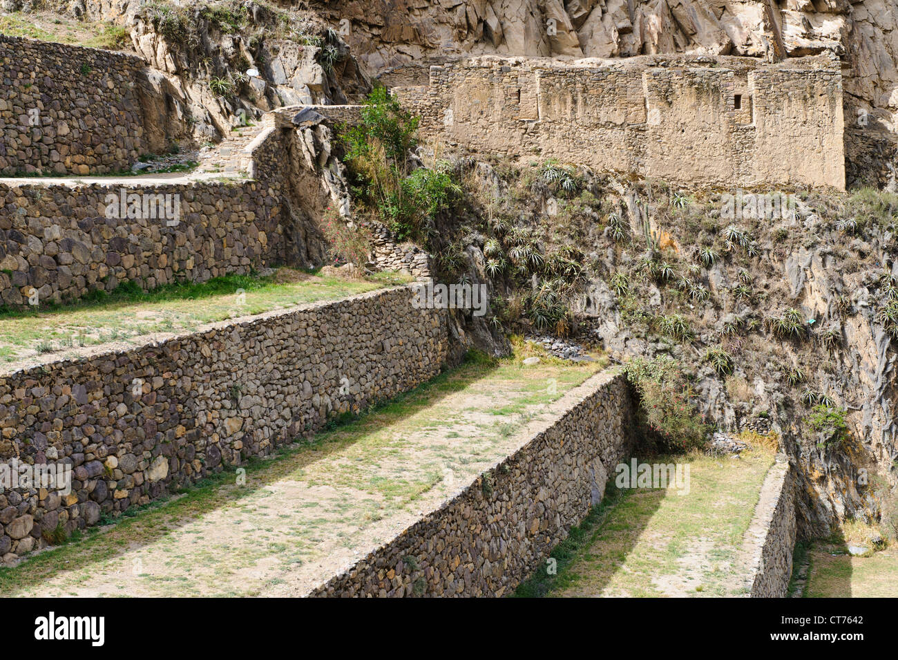 Terraces at Inca ruins, Ollantaytambo, Peru Stock Photo - Alamy