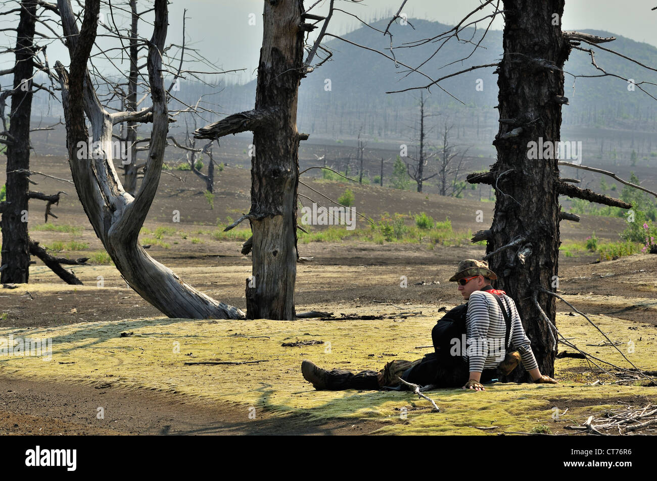 Dead forest hi-res stock photography and images - Alamy
