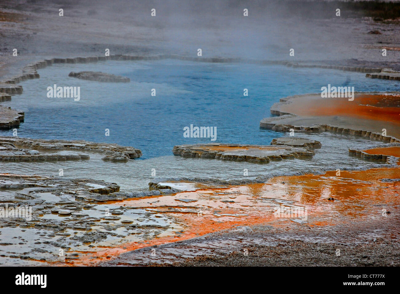 Bacterial pool hi-res stock photography and images - Alamy