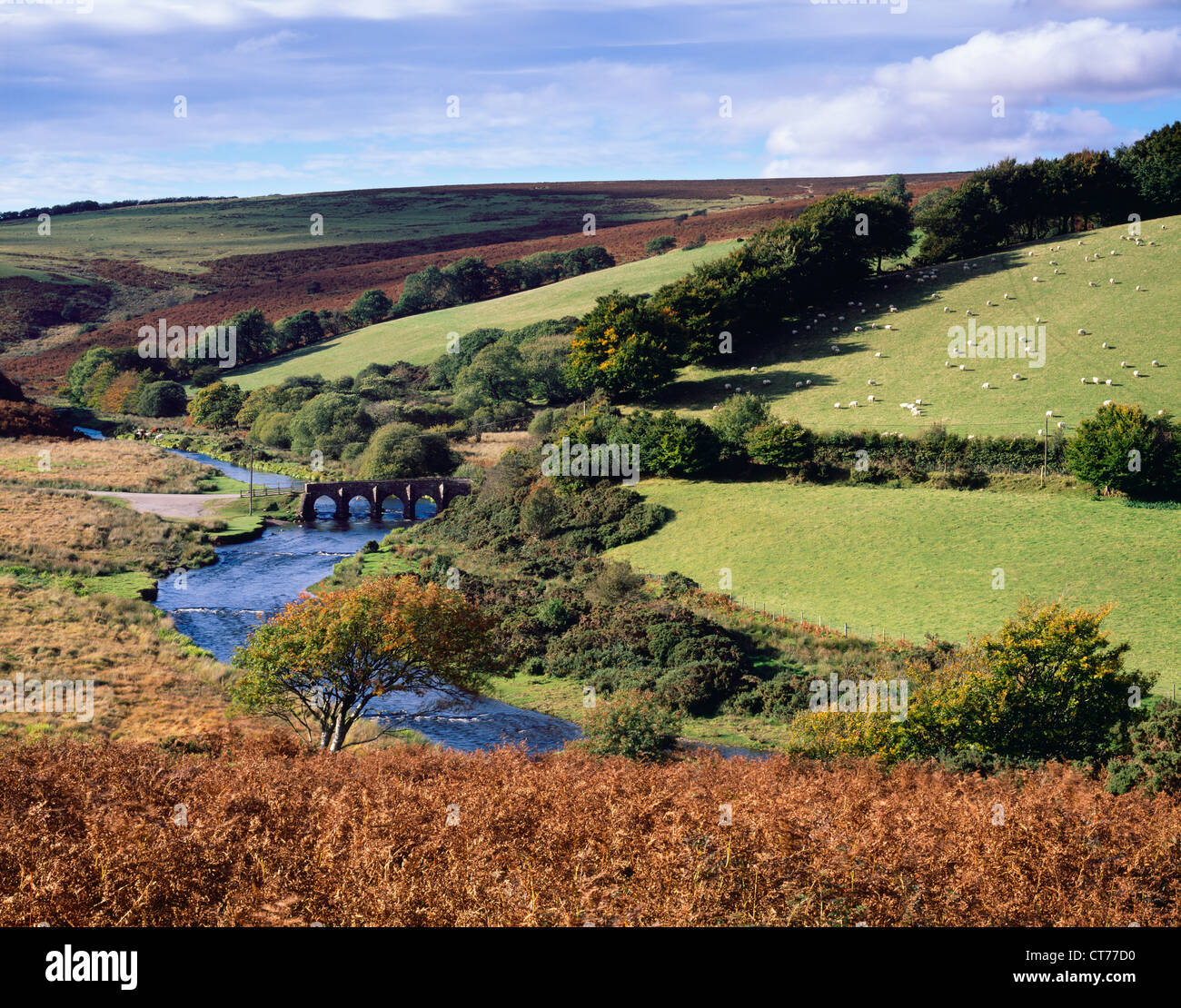 Rolling bridge, england hi-res stock photography and images - Alamy