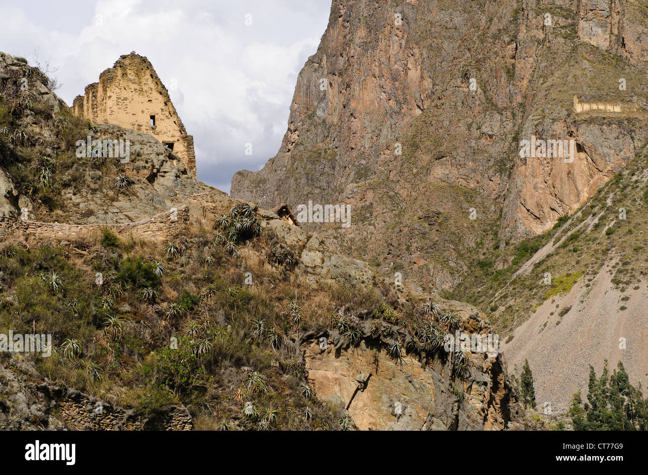 A ruined Inca storage building at Ollantaytambo, Peru Stock Photo - Alamy