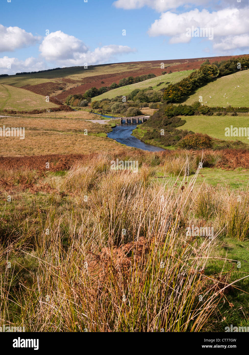 Landacre Bridge over the River Barle at Withypool Common in Exmoor ...