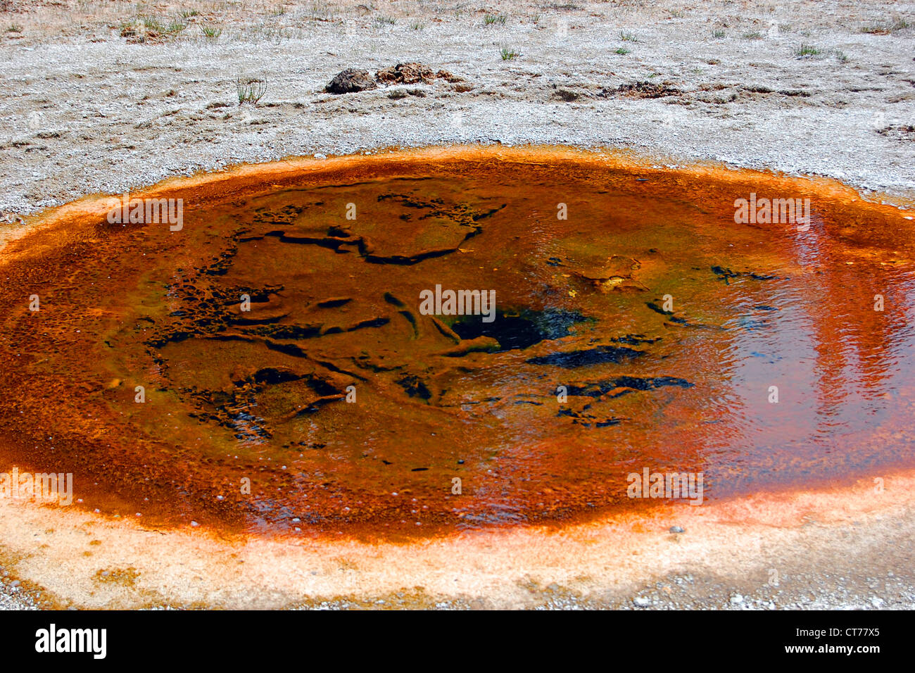 Economic Geyser, Upper Geyser Basin, Yellowstone National Park Stock ...
