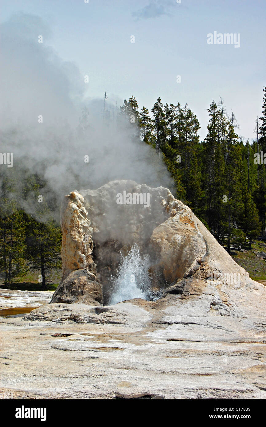 Giant Geyser, Upper Geyser Basin, Yellowstone National Park Stock Photo ...