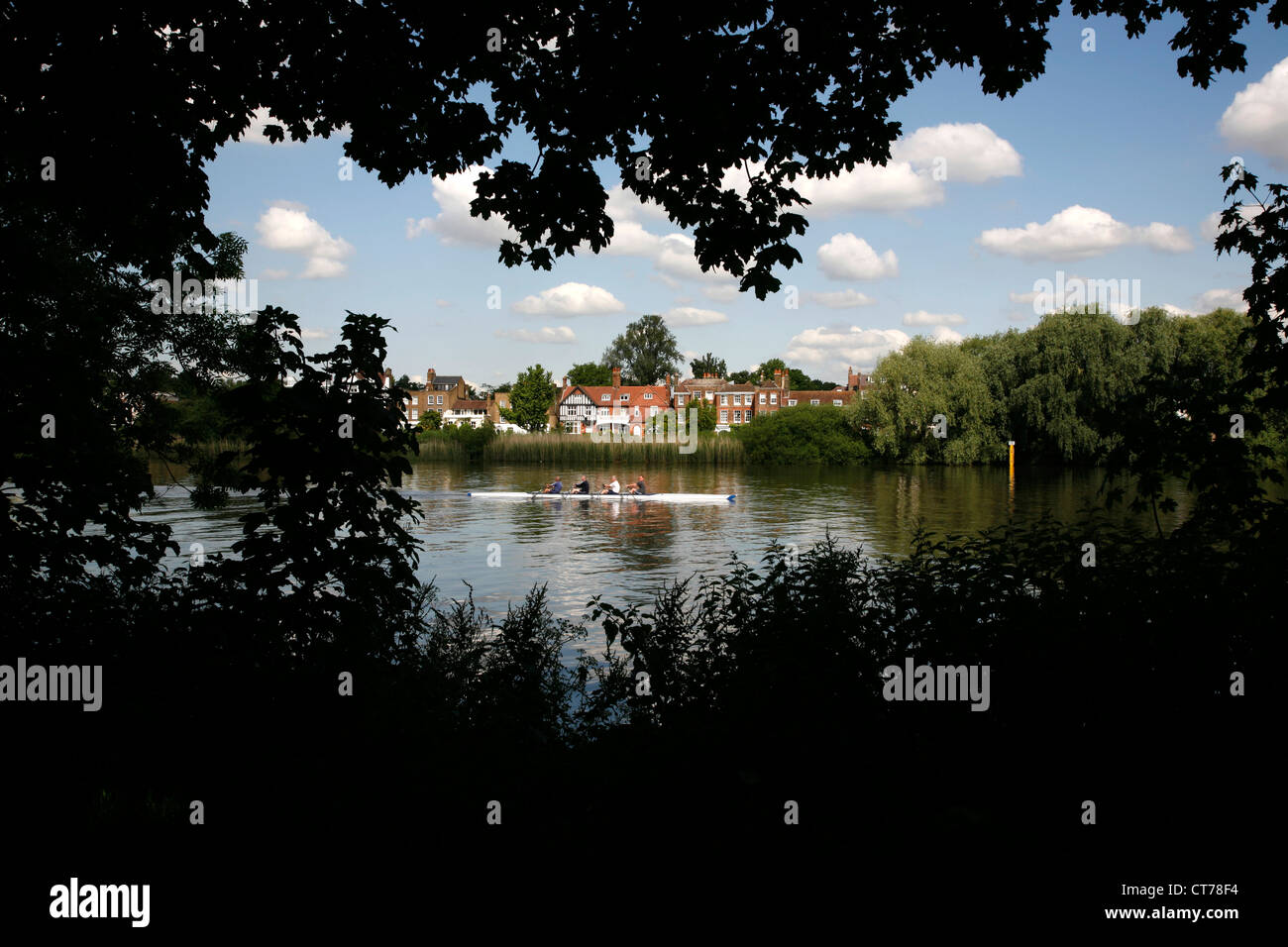 Rowers on the River Thames passing Chiswick Eyot and Chiswick Mall ...