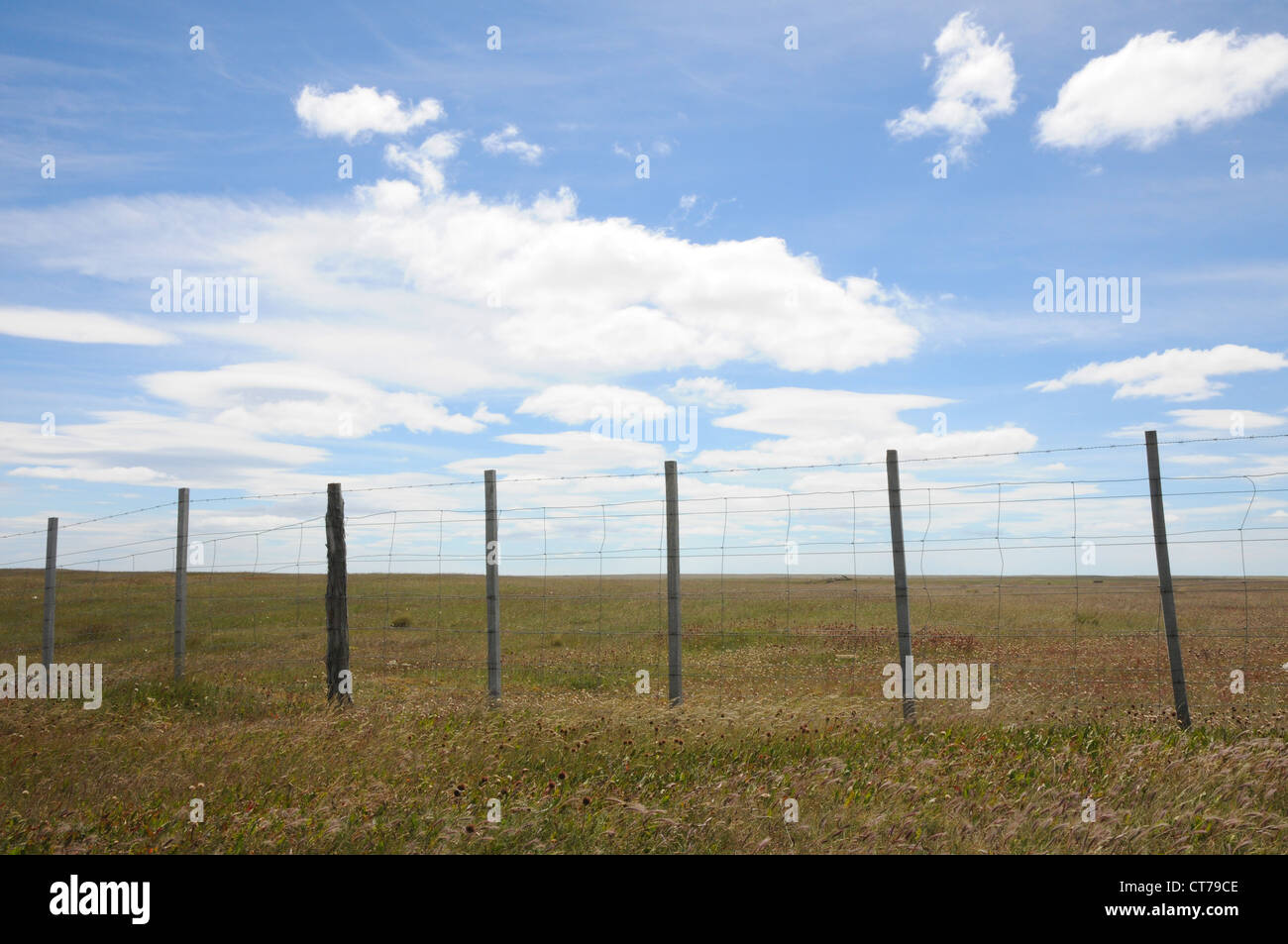 Barbed wire and wooden post fence, Chilean border, Patagonia, Tierra ...