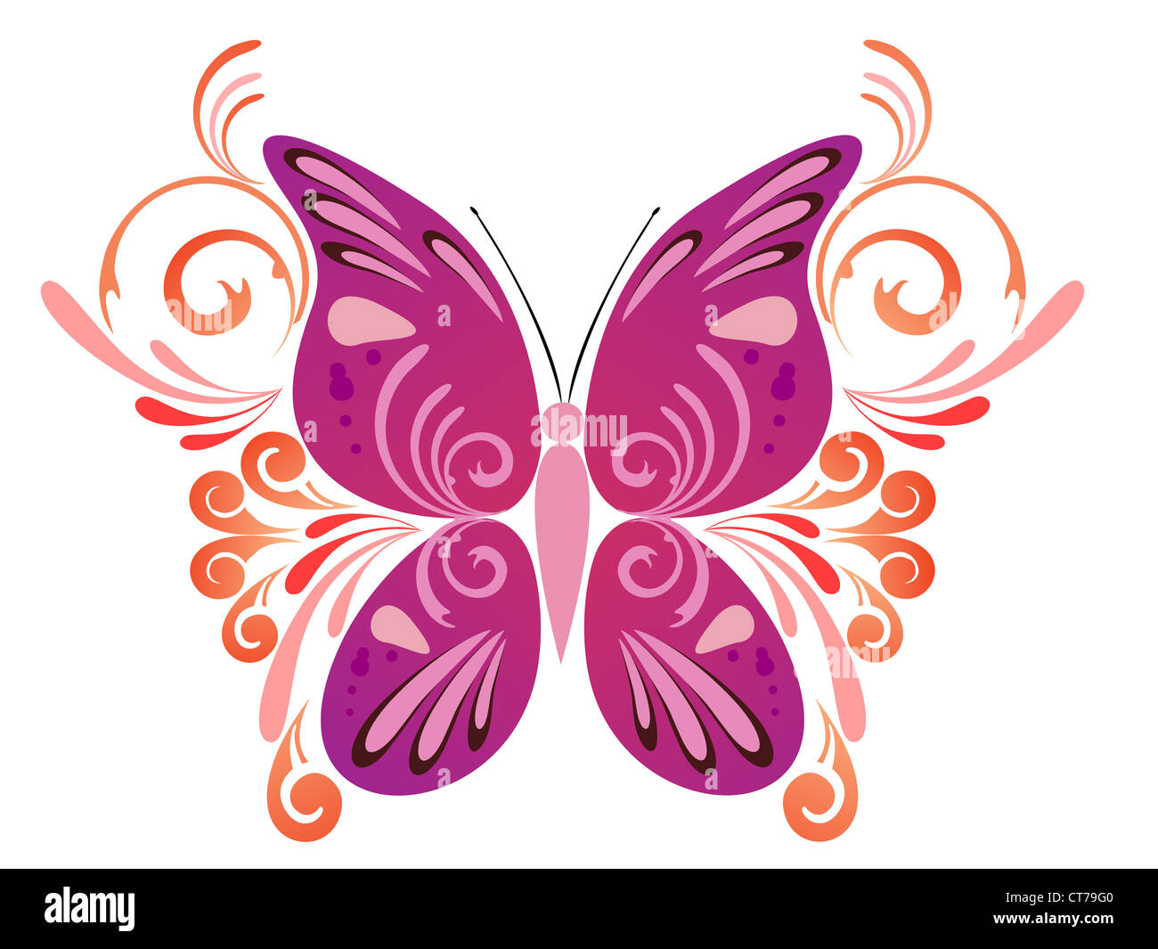 Butterfly curve hi-res stock photography and images - Alamy