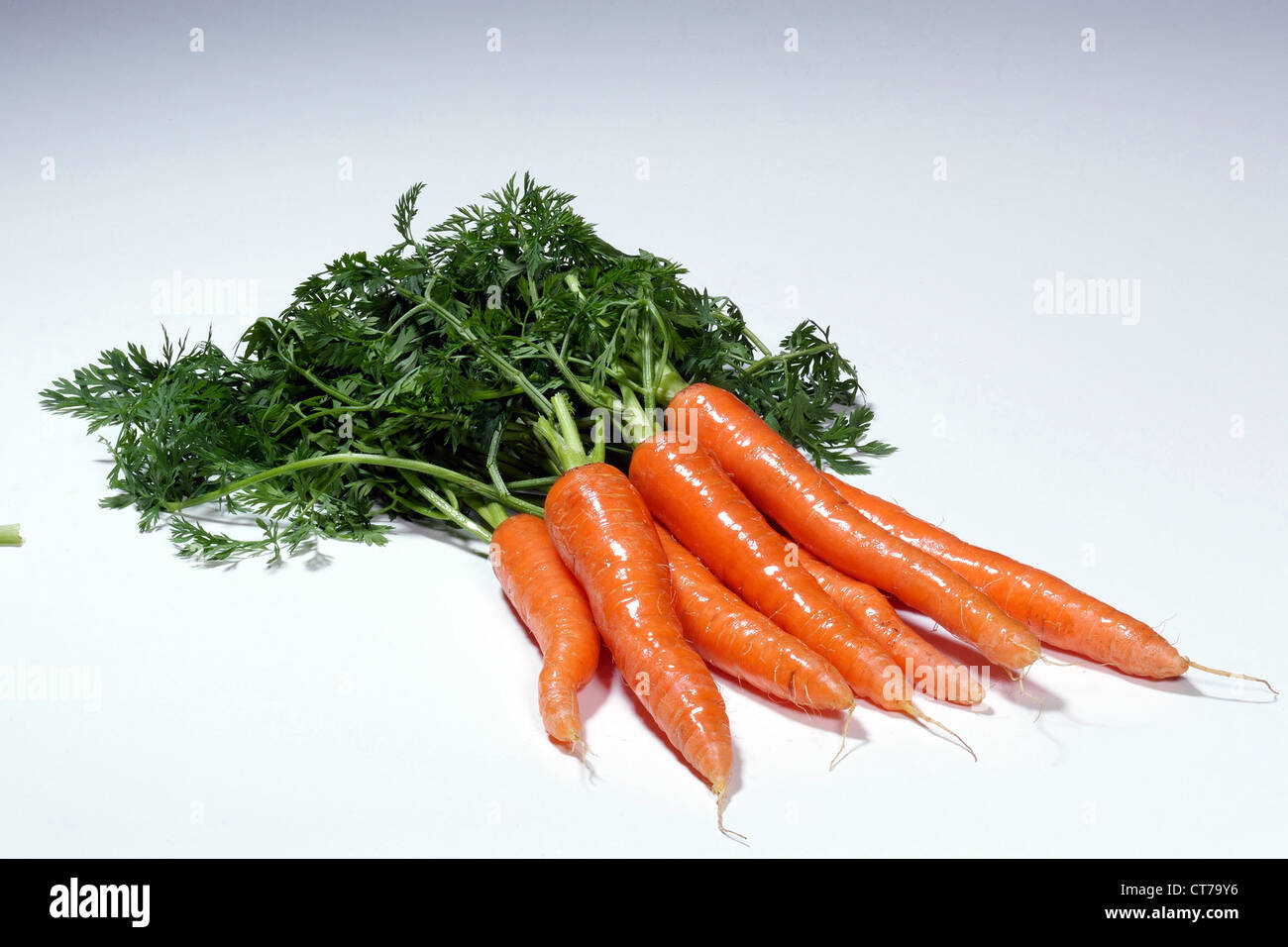 a bunch of carrots Stock Photo - Alamy