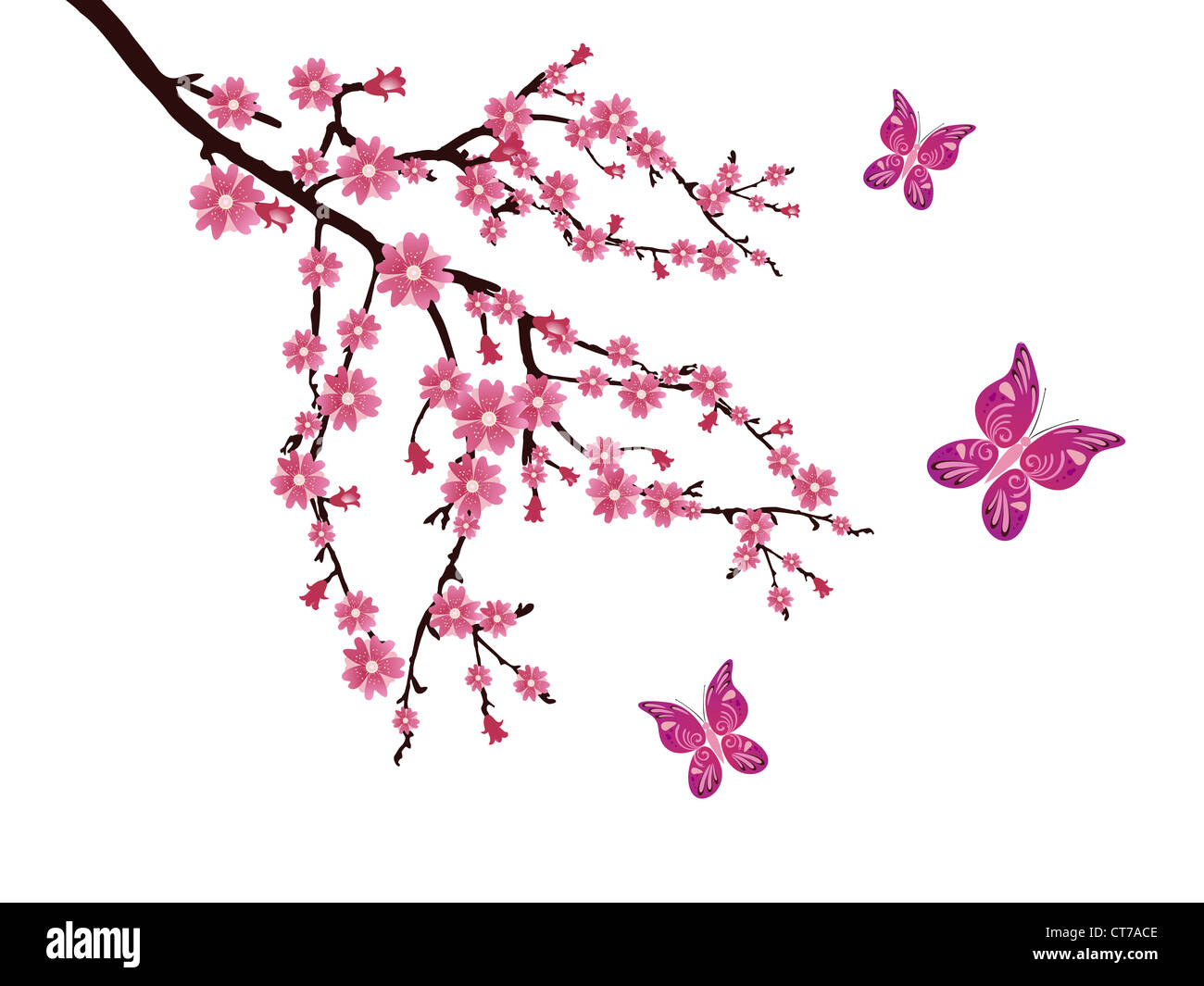 Butterfly spring blossom Cut Out Stock Images & Pictures - Alamy