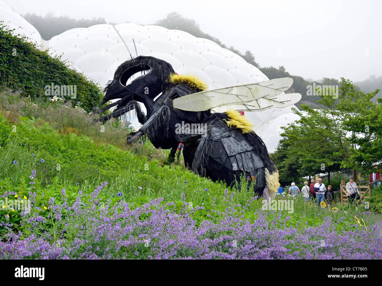 Giant bee hi-res stock photography and images - Alamy