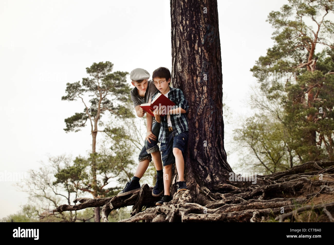 Boys reading book by tree trunk Stock Photo - Alamy
