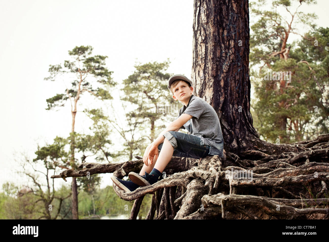Boy sitting on roots of tree trunk Stock Photo - Alamy