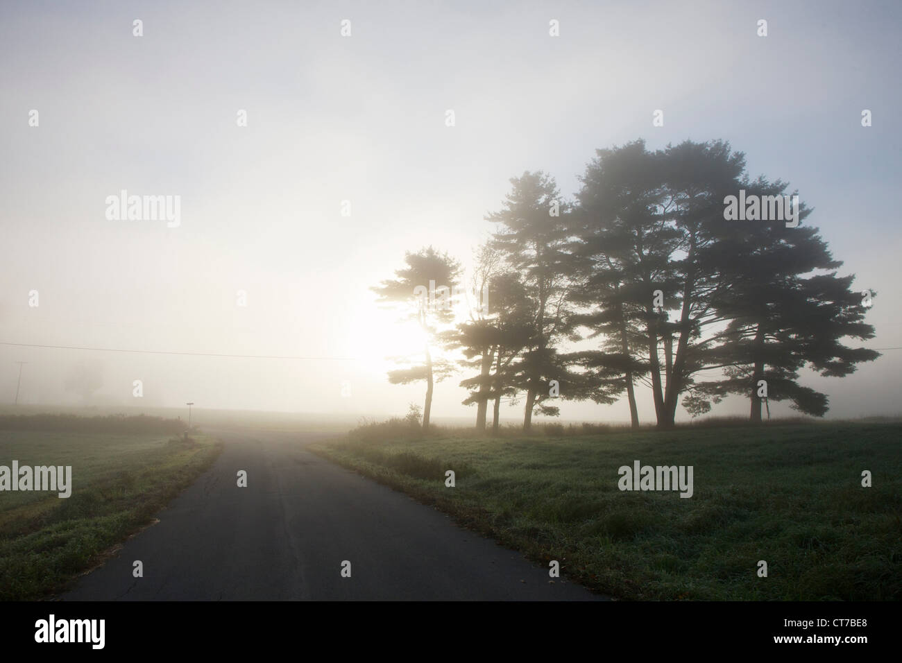 Rural misty scene hi-res stock photography and images - Alamy