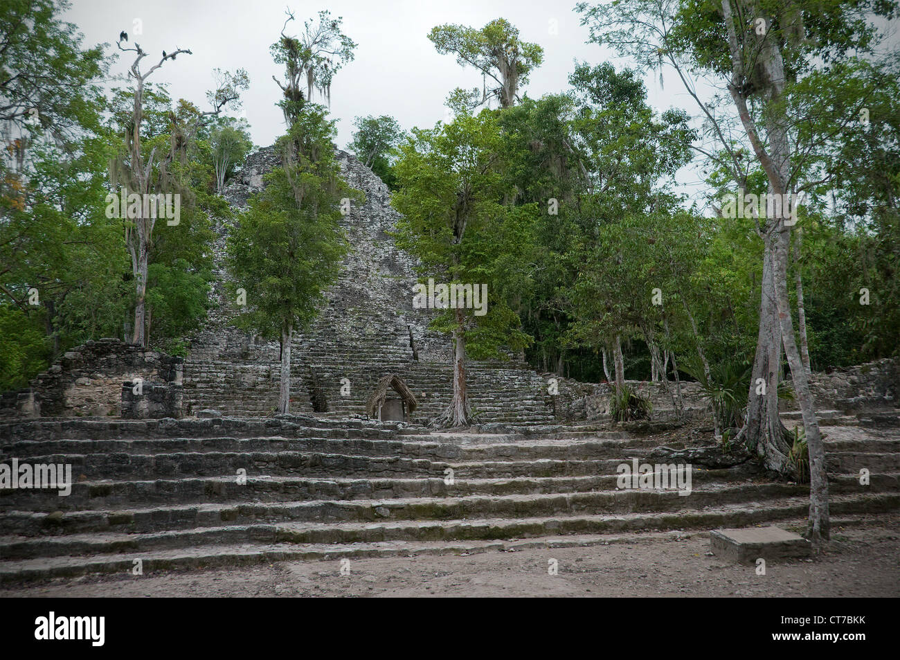 Coba group's pyramid is one of the landmark ruins in Yucatan Mexico's ...